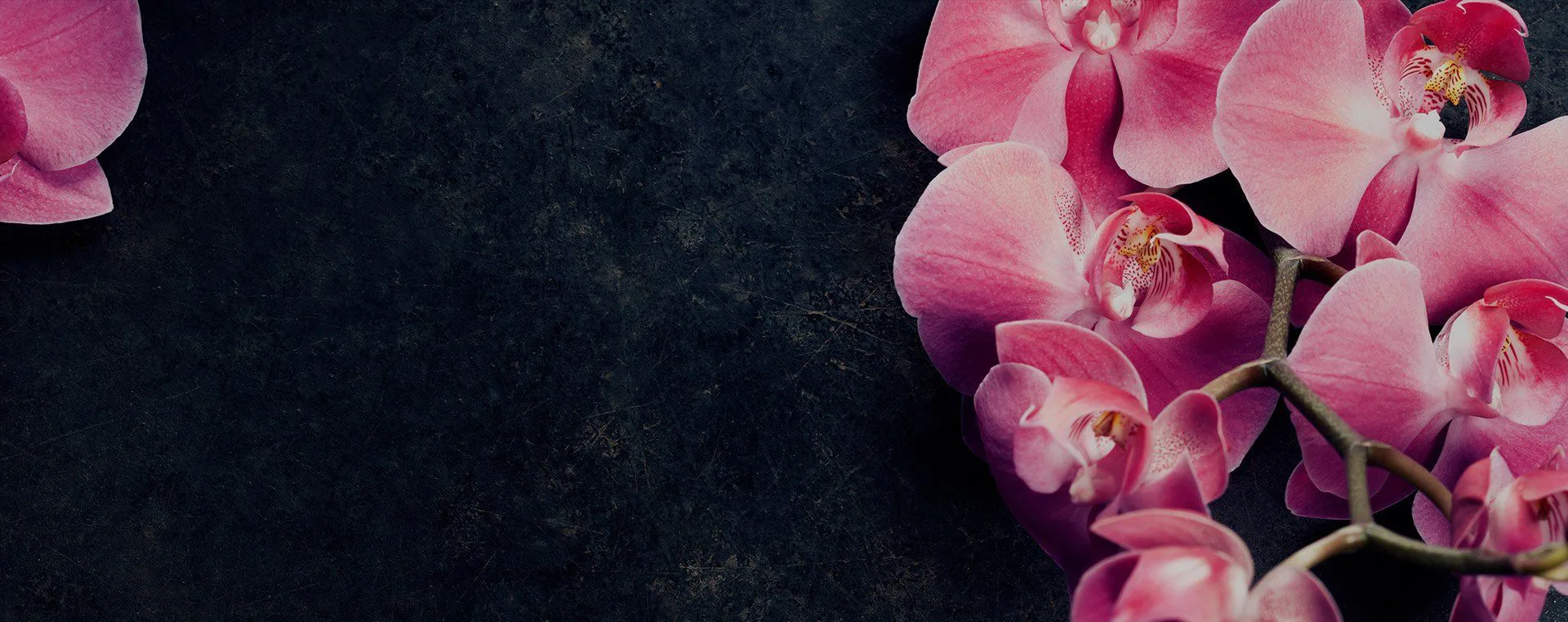 Contactez Chaléa massages pour tout renseignement